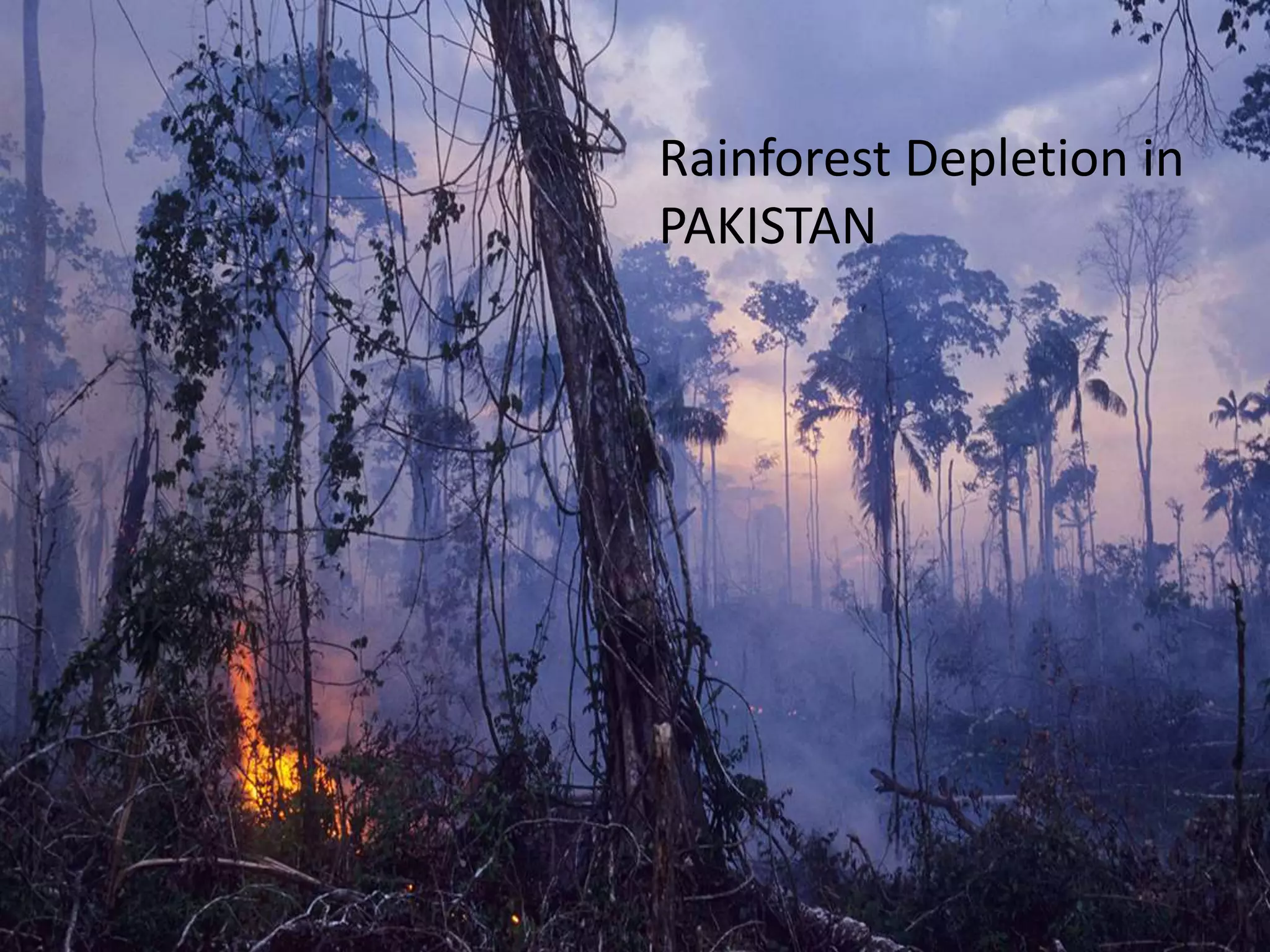 Deforestation in pakistan | PPTX