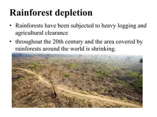 Deforestation in pakistan | PPTX