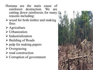 Deforestation in pakistan | PPTX