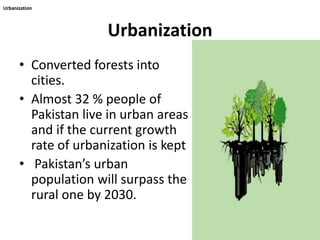Deforestation in pakistan | PPTX