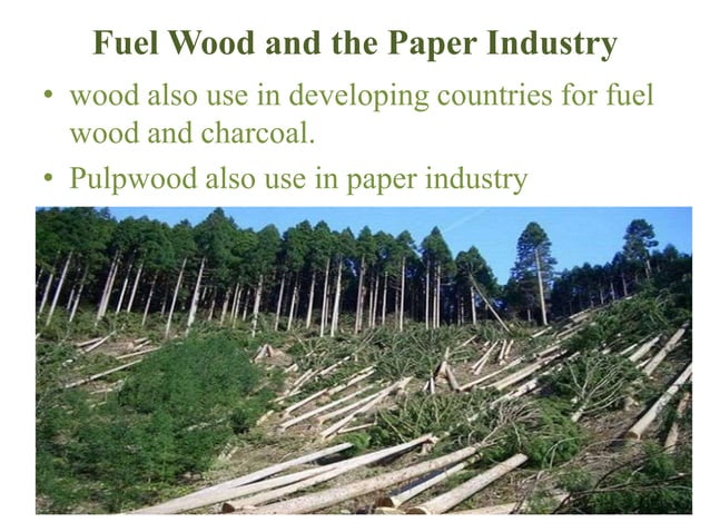Deforestation in pakistan | PPTX