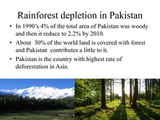 Deforestation in pakistan | PPTX