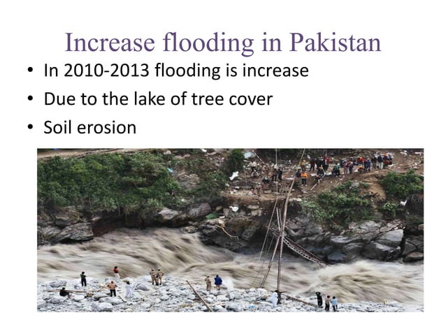 Deforestation in pakistan | PPTX