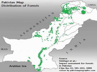 Deforestation in pakistan | PPTX