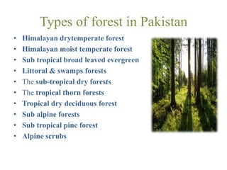 Deforestation in pakistan | PPTX