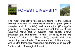 Deforestation in spain | PPT