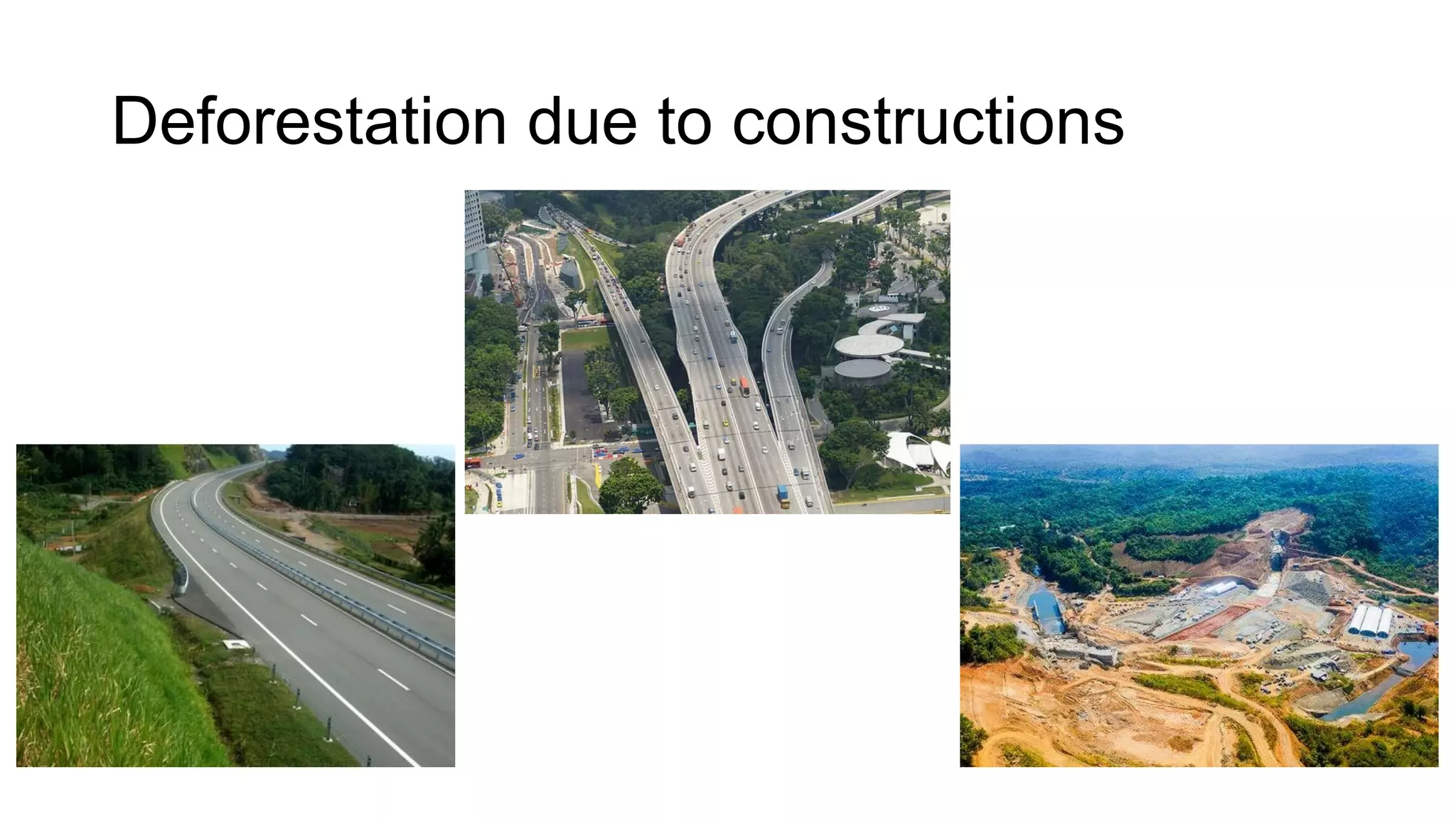 Deforestation in sri lanka | PDF