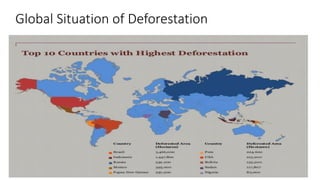 Deforestation in sri lanka | PDF