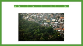 DEFORESTATION IN THE AMAZON RAINFOREST.pptx