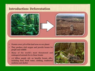 Deforestation | PPT