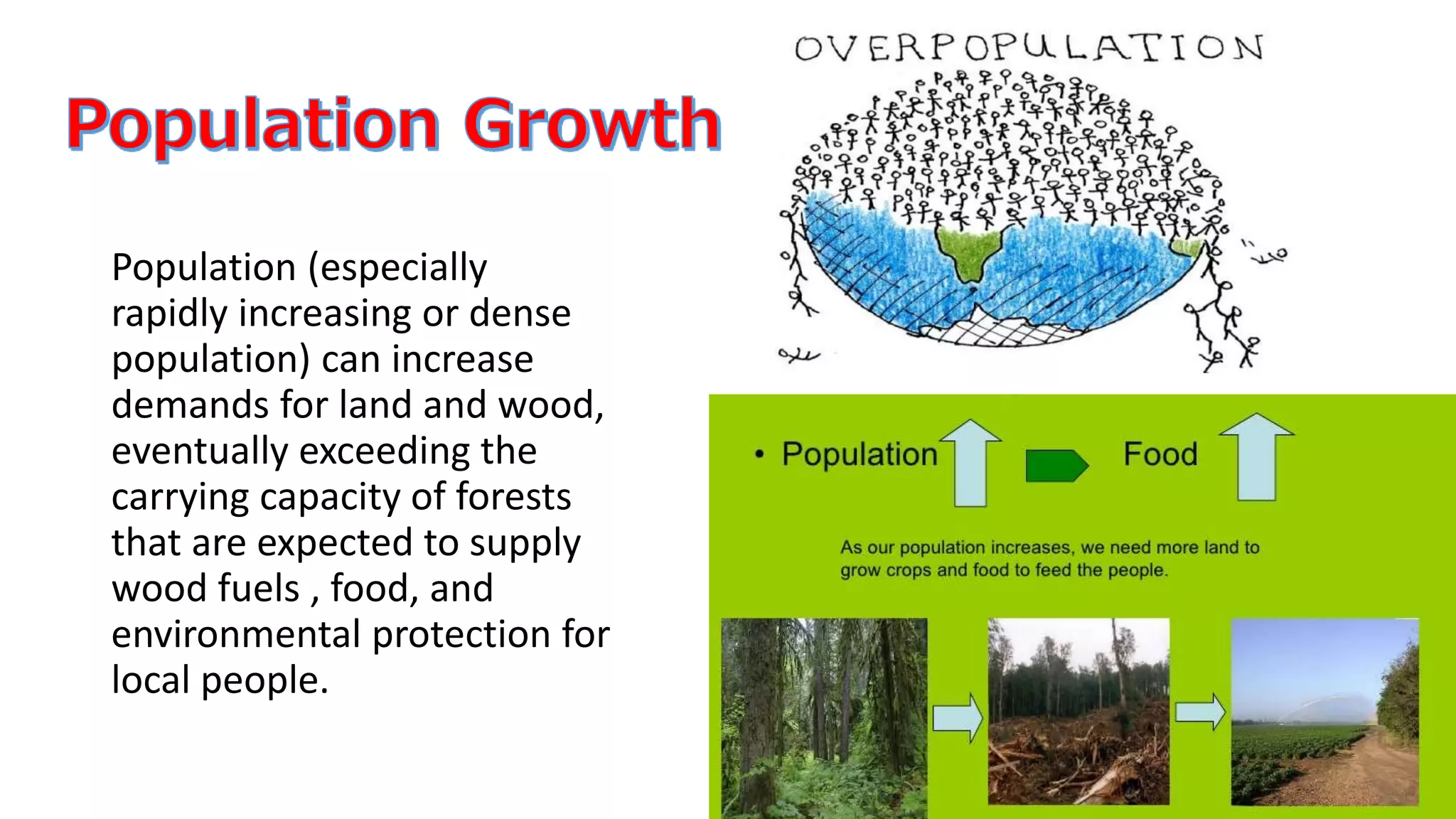 What is Deforestation? | PPTX