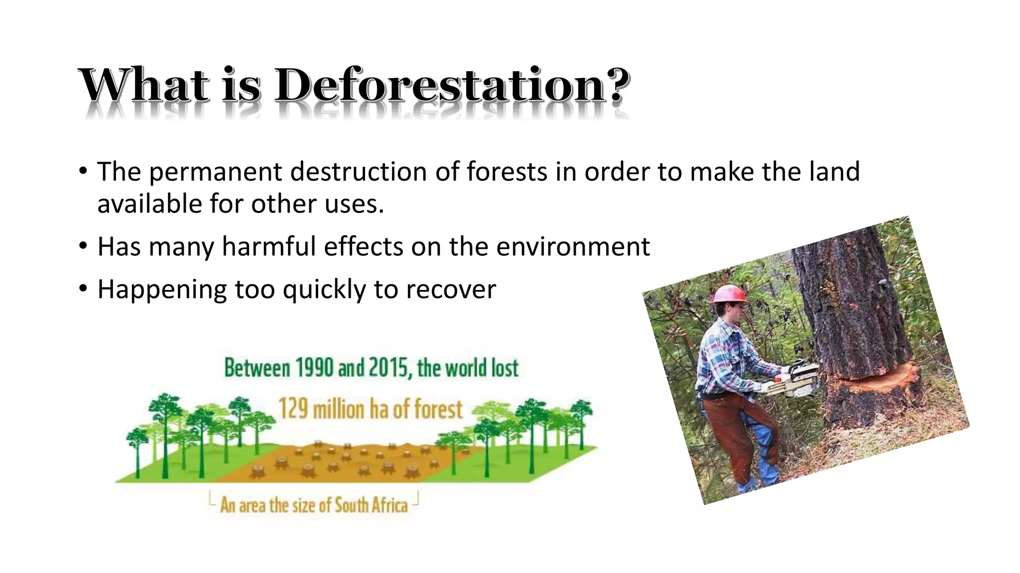 What is Deforestation? | PPTX