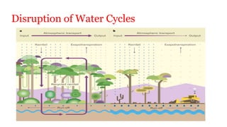 What is Deforestation? | PPTX
