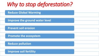 What is Deforestation? | PPTX