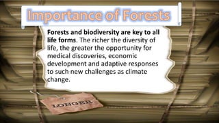 What is Deforestation? | PPTX