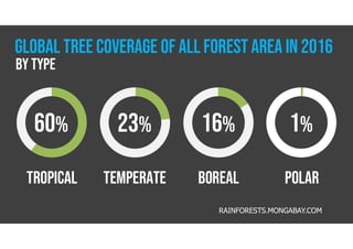Deforestation Mitigation | PDF