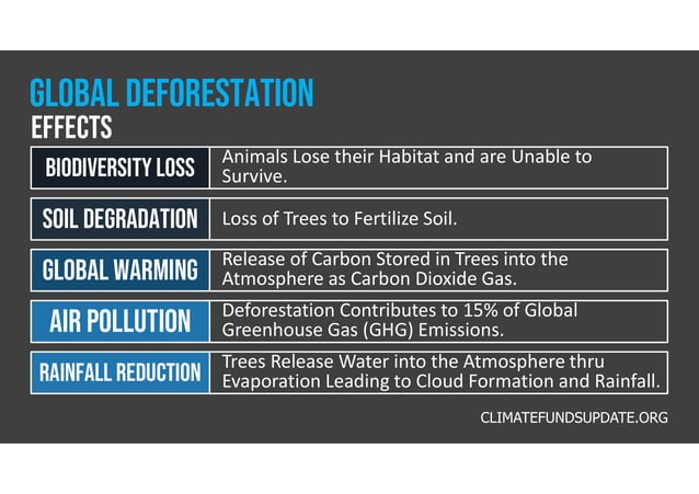 Deforestation Mitigation | PDF