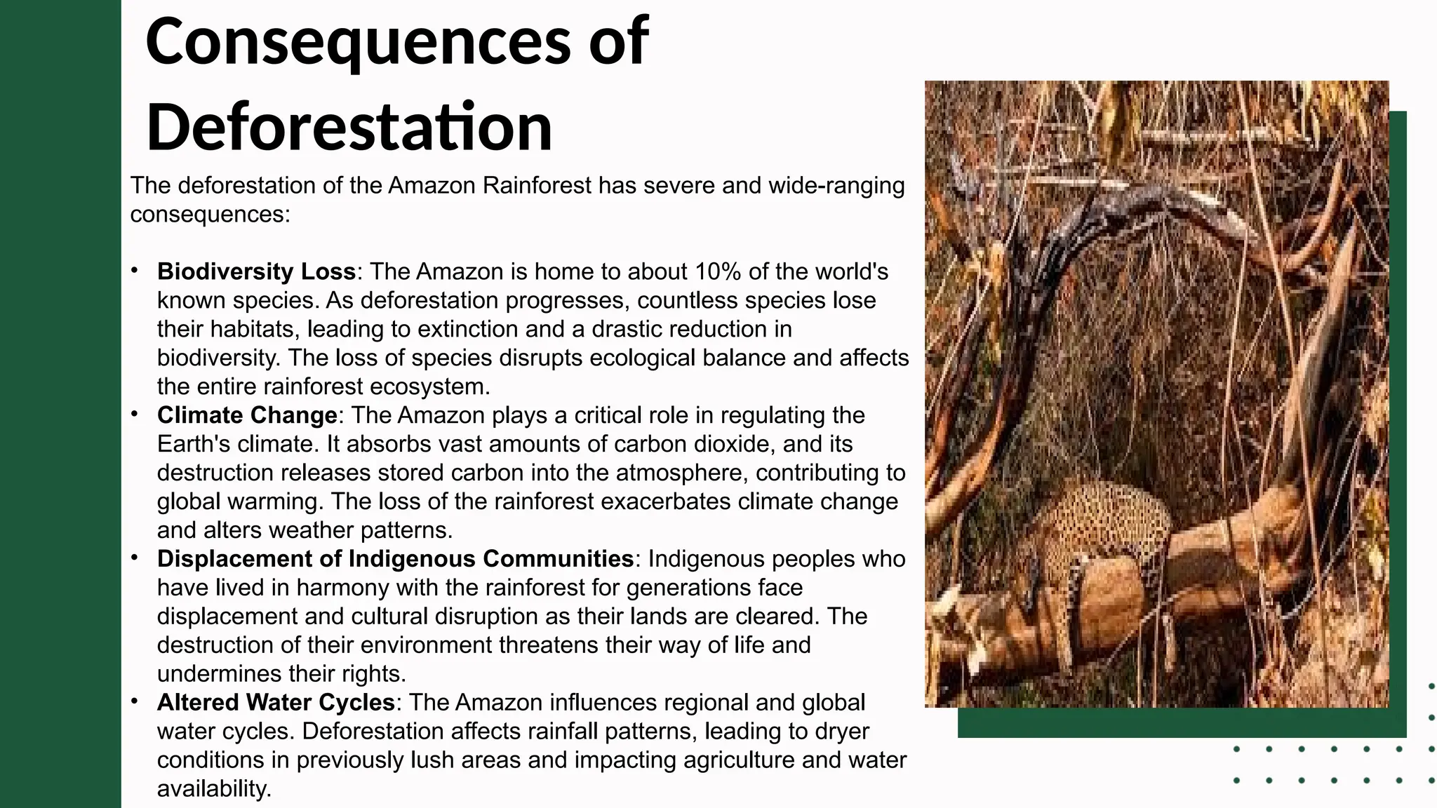 Deforestation of the Amazon Rainforest-Global Headwinds | PPT