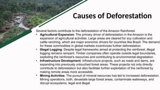 Deforestation of the Amazon Rainforest-Global Headwinds | PPTX
