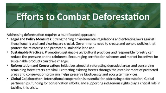 Deforestation of the Amazon Rainforest-Global Headwinds | PPT