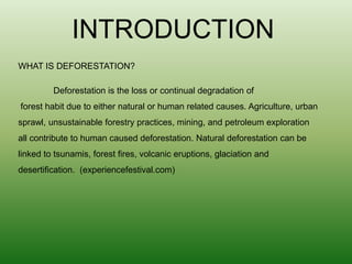 Deforestation Power Point | PPTX