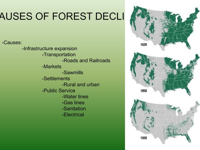 Deforestation Power Point | PPTX | Environment | Science