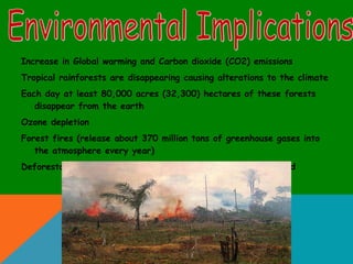 Deforestation | PPT