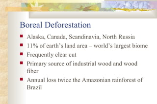 Chapter 10:Biodiversity/Forests/Forest Management | PPT