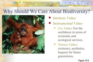 Chapter 10:Biodiversity/Forests/Forest Management | PPT