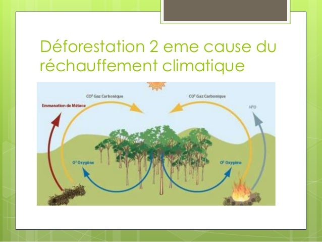 Déforestation ppt