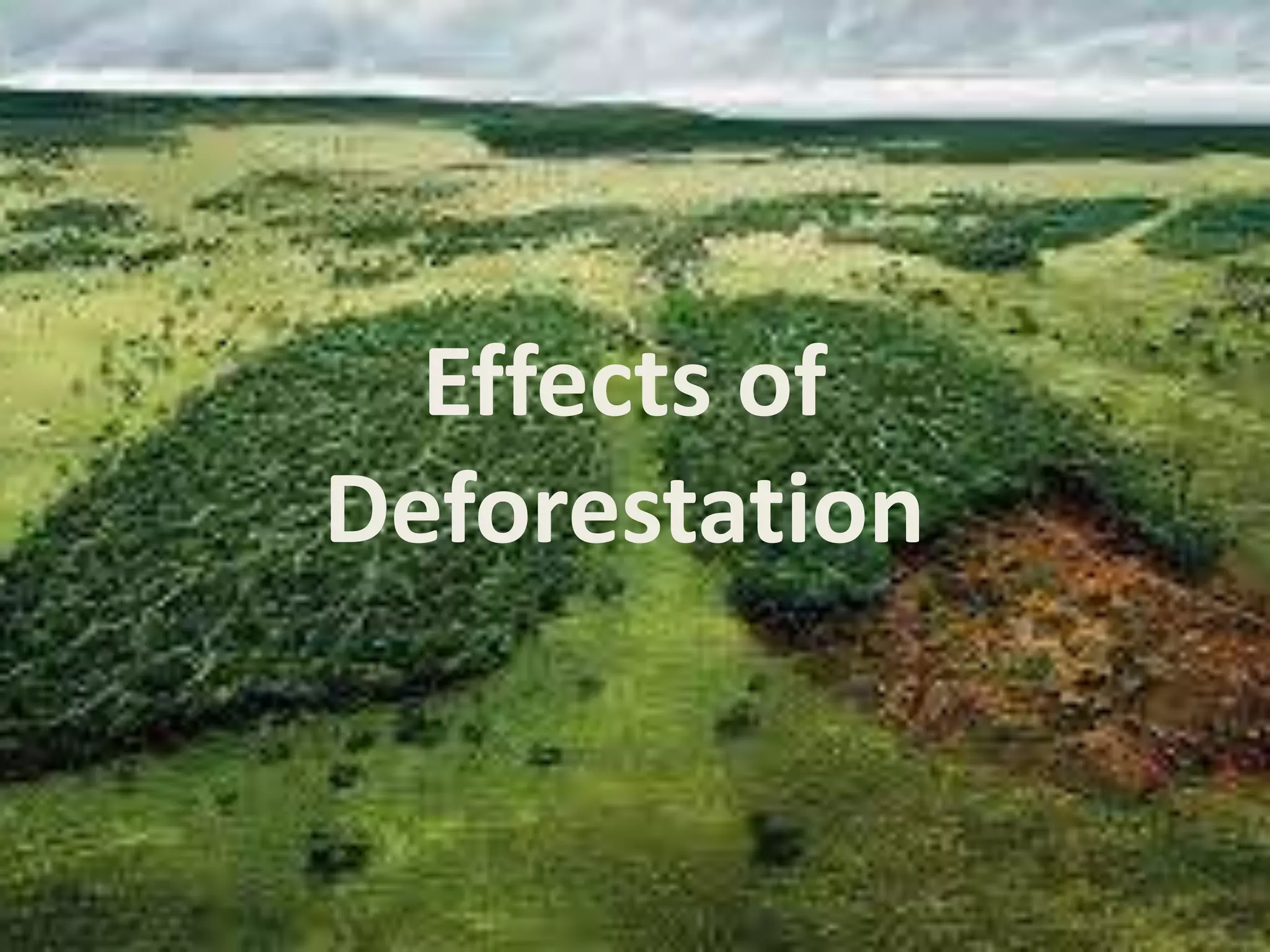 Deforestation ppt | PPTX