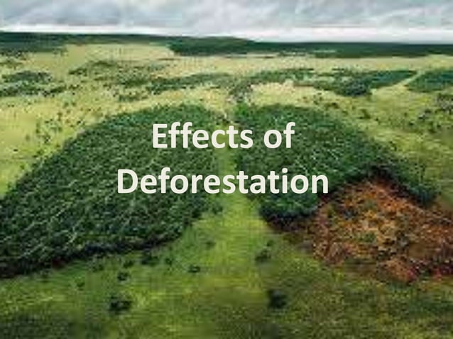 Deforestation ppt | PPTX | Environmental Services Industry | Industries