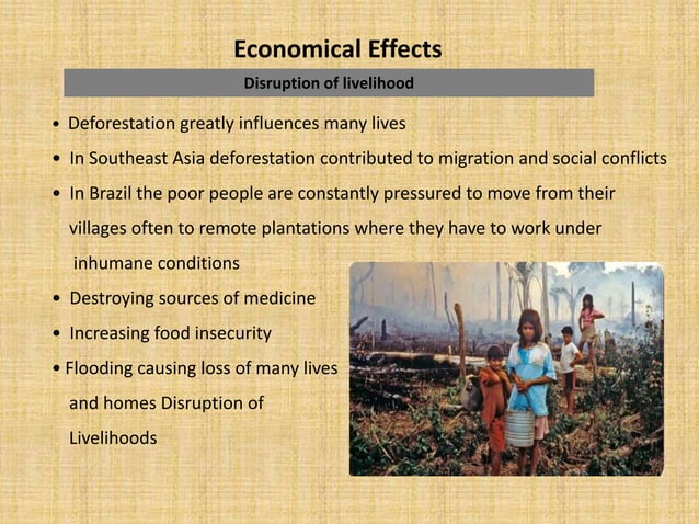 deforestationppt-180303050419 (1).pdf