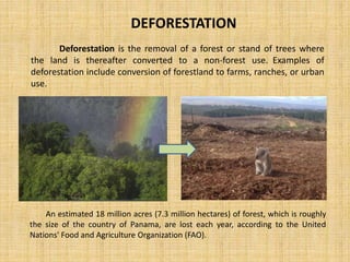 deforestationppt-180303050419 (1).pdf