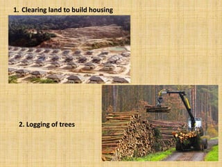 deforestationppt-180303050419 (1).pdf