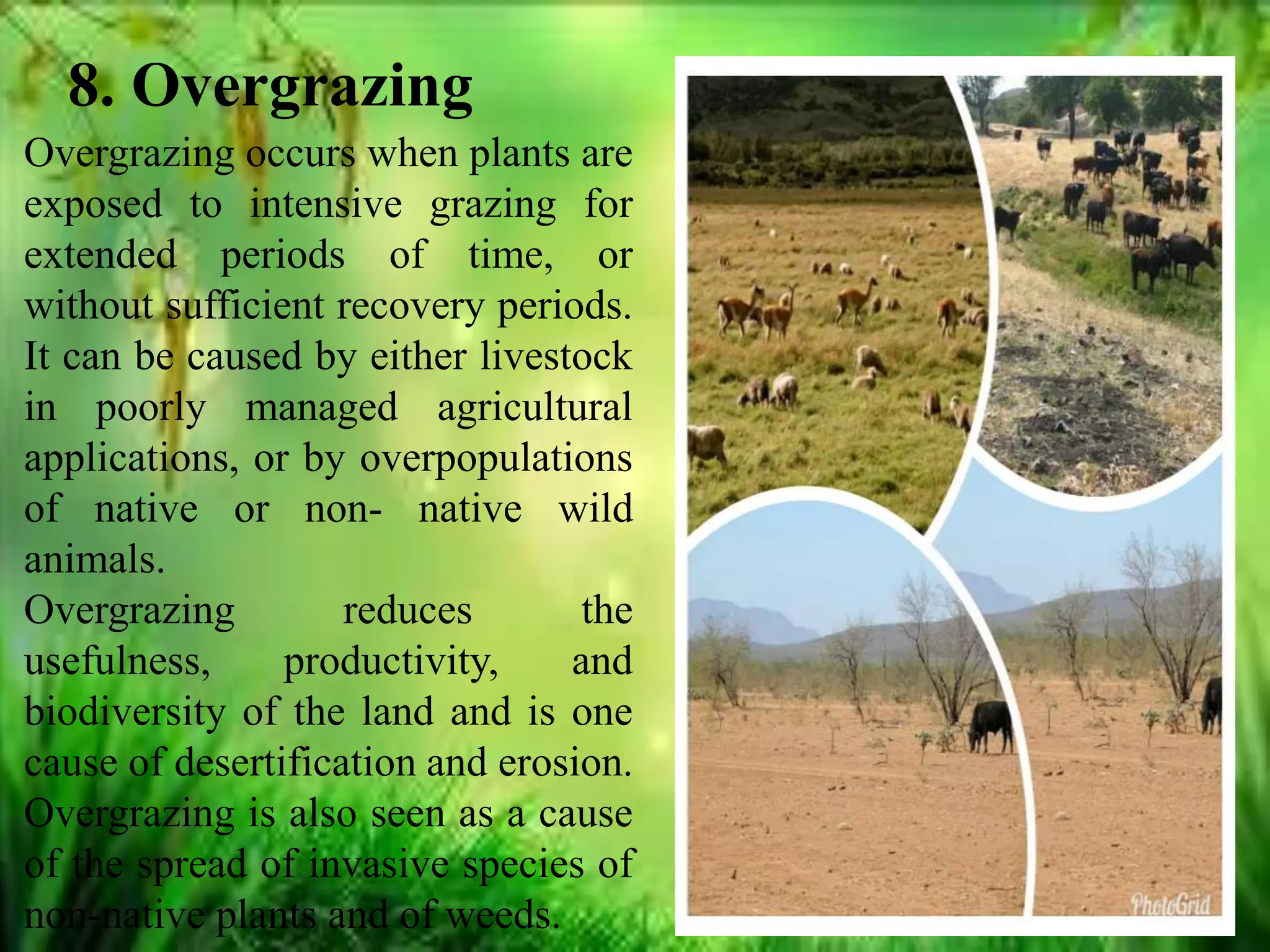 Deforestation in India ; causes and consequence | PPTX