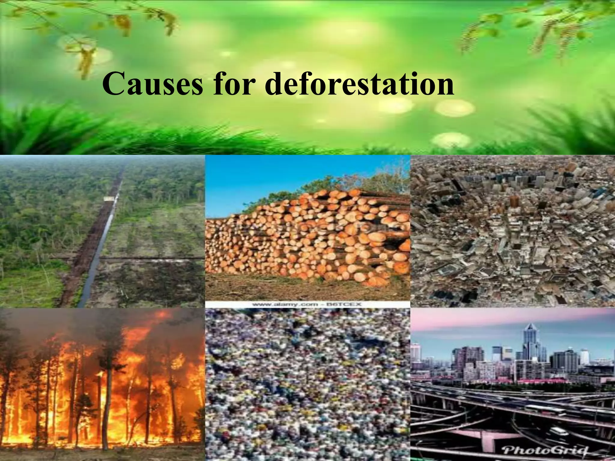 Deforestation in India ; causes and consequence | PPTX