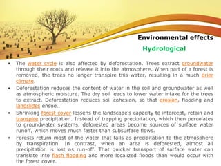 Deforestation | PPTX