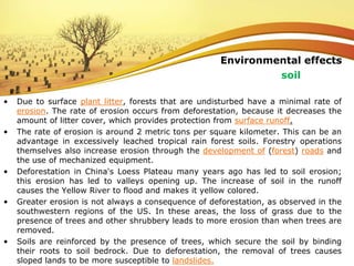 Deforestation | PPTX