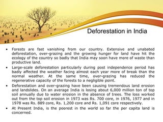 Deforestation | PPTX