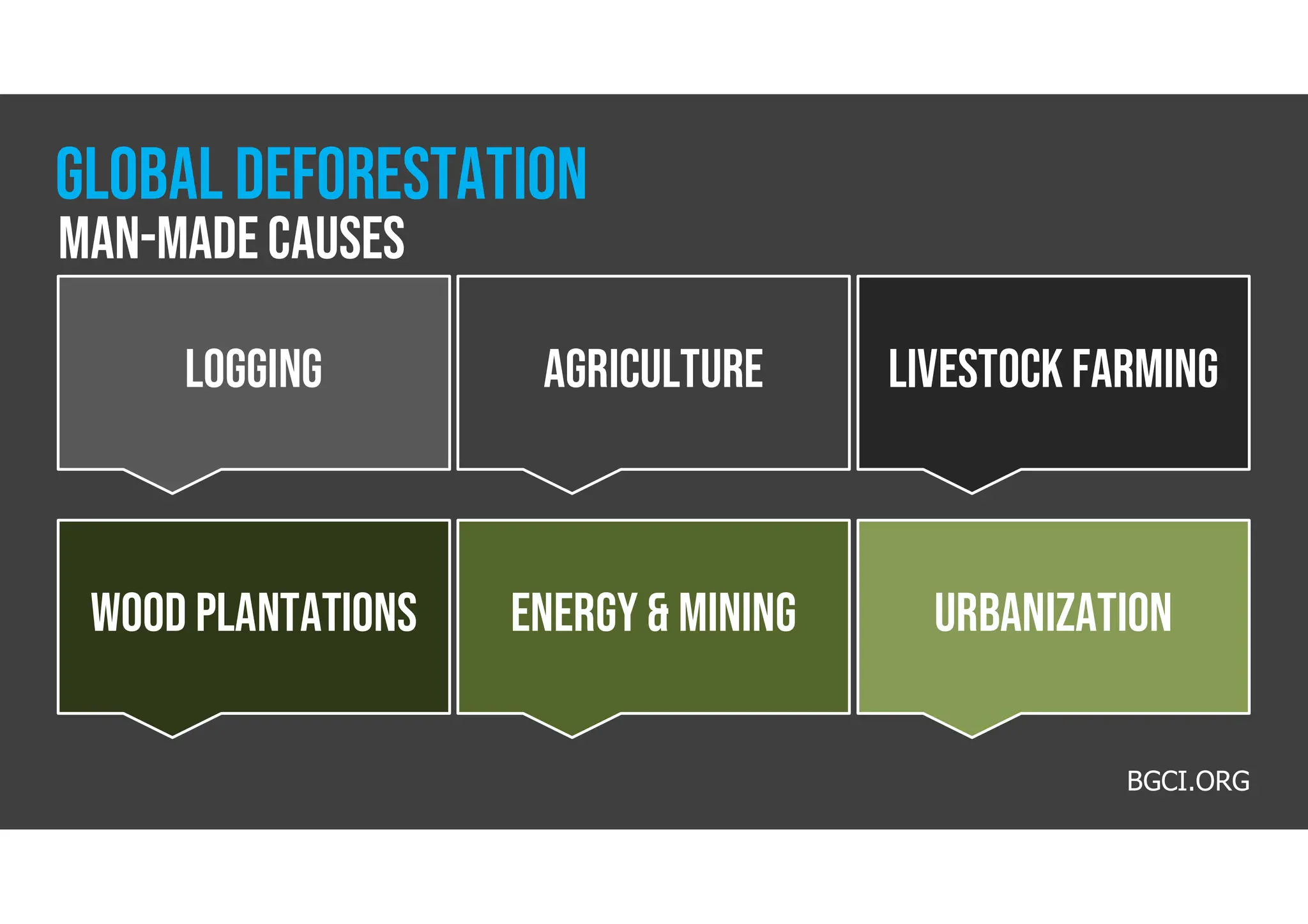 Deforestation | PDF