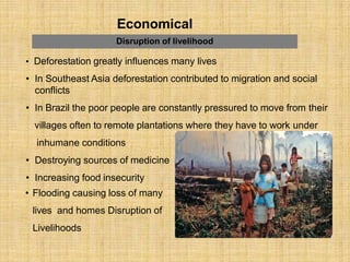 Deforestation ppt by prof. shashank chaurasiya | PPT