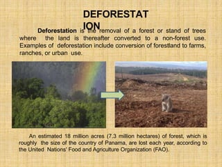 Deforestation ppt by prof. shashank chaurasiya | PPT