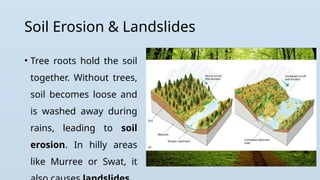 Deforestation presentation of pakistan and Global | PPT