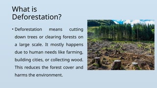 Deforestation presentation of pakistan and Global | PPTX