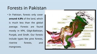 Deforestation presentation of pakistan and Global | PPT