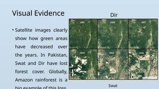 Deforestation presentation of pakistan and Global | PPTX