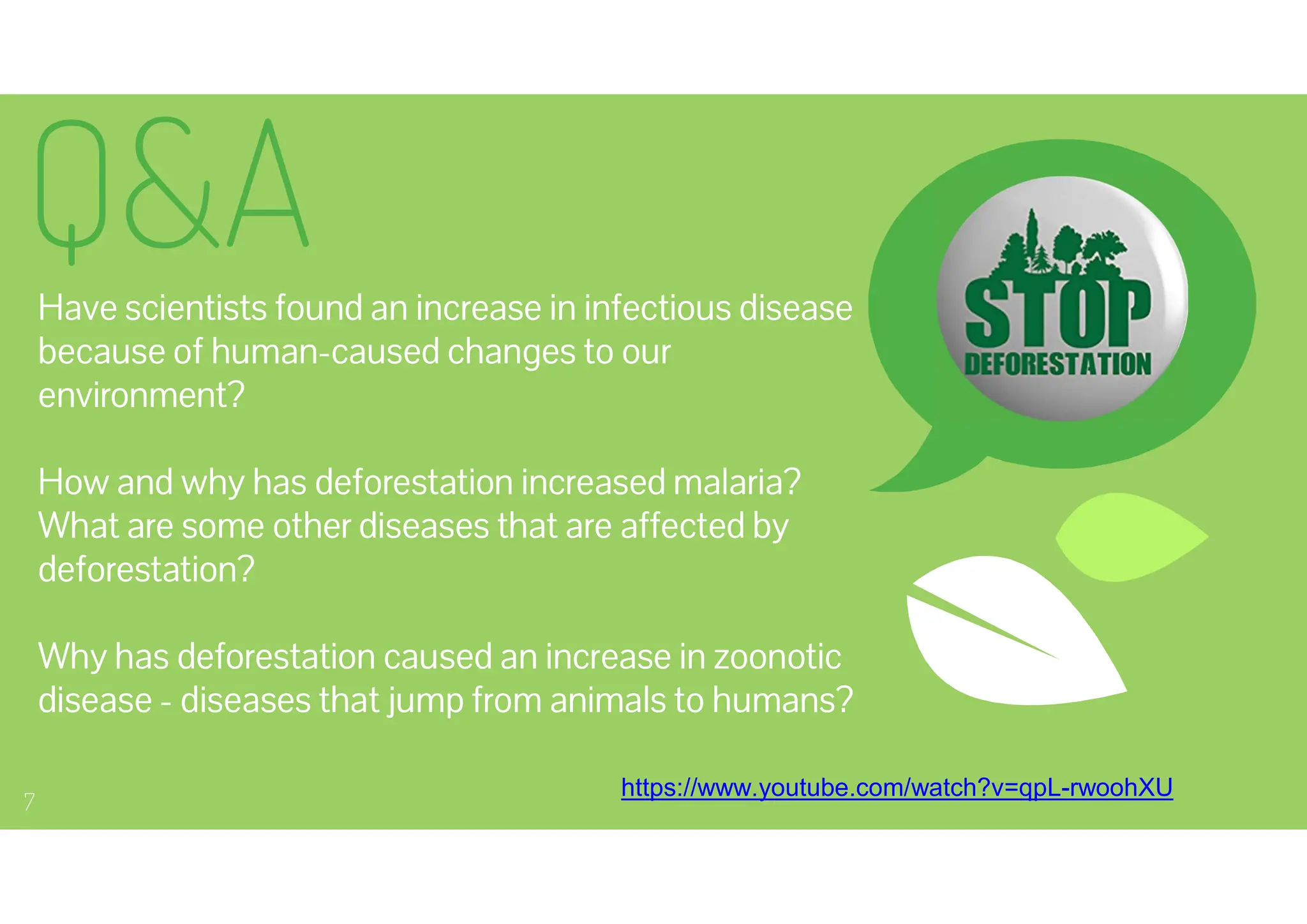 Deforestation Questions to Take into Consideration | PPT