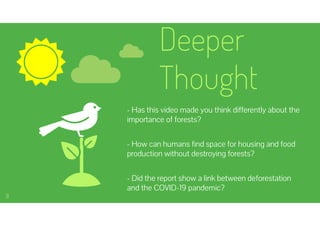 Deforestation Questions to Take into Consideration | PPT