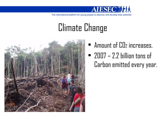 Deforestation | PPT